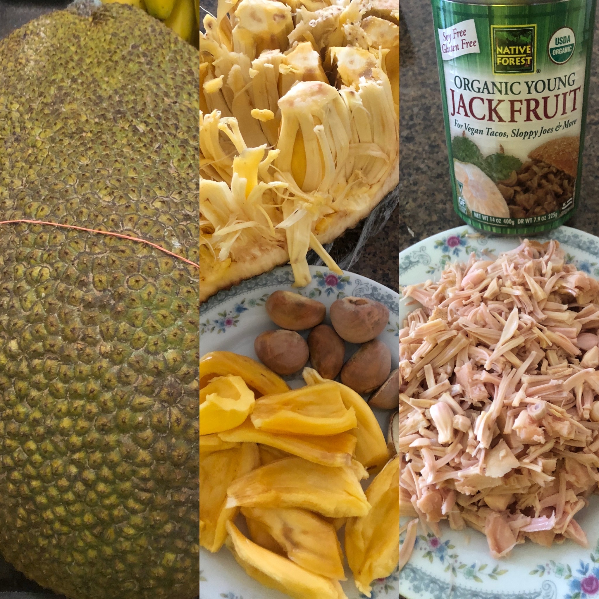 Jackfruit, simple yet versatile! – Steph's World